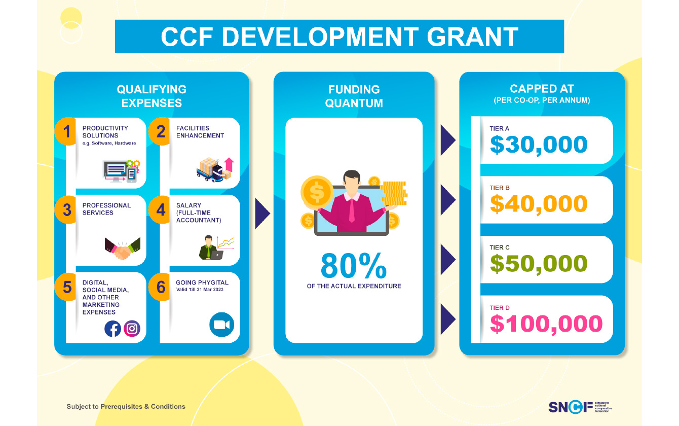 CCF Development Grant